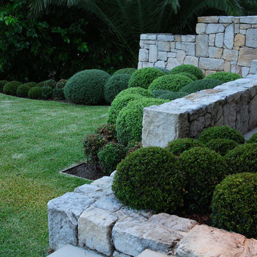 Round Boxwoods - Photos & Ideas | Houzz