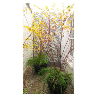 Marylebone Lightwell - Contemporary - Garden - London - by Fenton ...