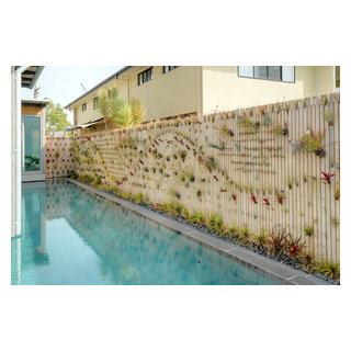 Mooloolaba Canal - Contemporary - Landscape - Sunshine Coast - by ...