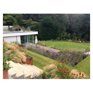 Multi level terrace - Contemporary - Landscape - Surrey - by ...