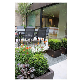 Notting Hill Courtyard Garden - Contemporary - Landscape - London - by ...