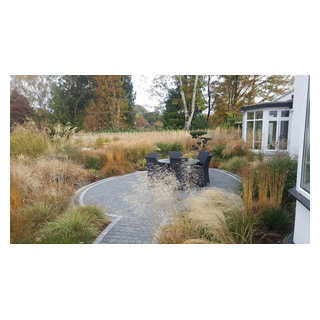 Ornamental Garden Design - Contemporary - Landscape - Dublin - by ...