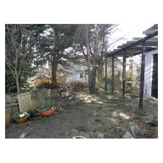 Rear Garden Meath - Before - Modern - Landscape - Other - by Sage N ...