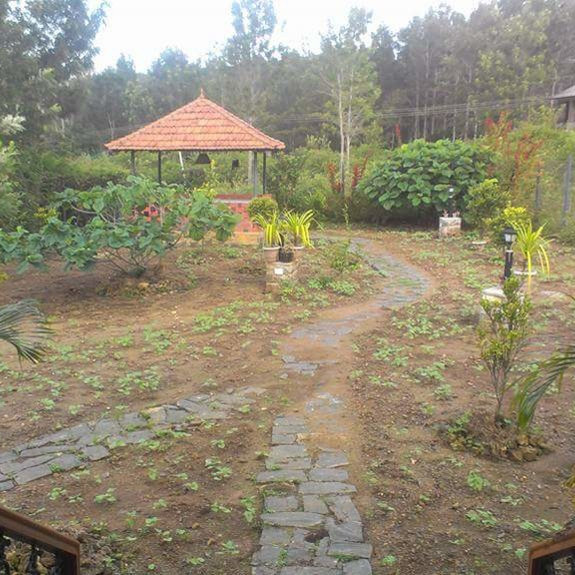 Indian Garden Design Ideas, Inspiration & Images - June 2024 | Houzz IN