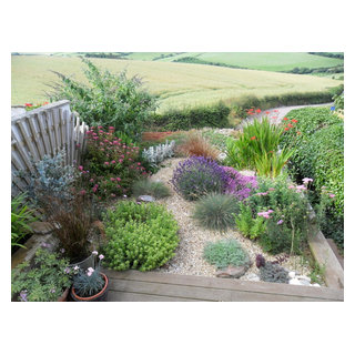 Small South-Facing Garden - Coastal - Garden - Other | Houzz UK