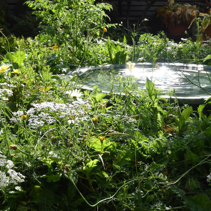 Garden Design Ideas, Inspiration & Images - March 2025 | Houzz IN