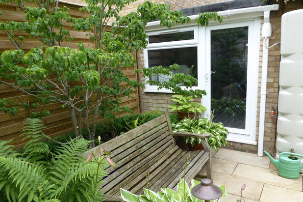 A Lush Cottage Garden in a Small Urban Backyard
