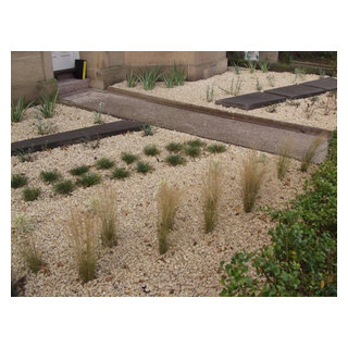 SpaceLab - Landscape Construction - Contemporary - Landscape - Glasgow ...