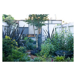 The 'Escher' House - Contemporary - Landscape - Sydney - by MacCormick ...