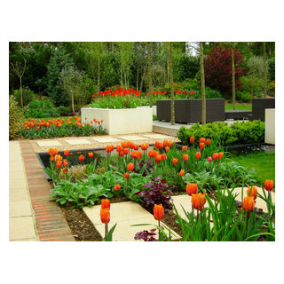 the howard garden - Contemporary - Landscape - Surrey - by Landscape ...