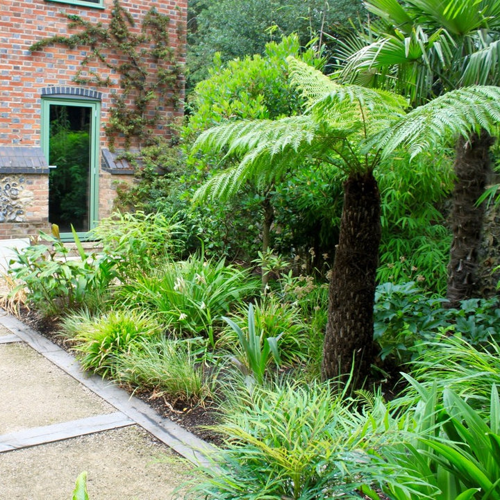 Tropical Garden - Photos & Ideas | Houzz