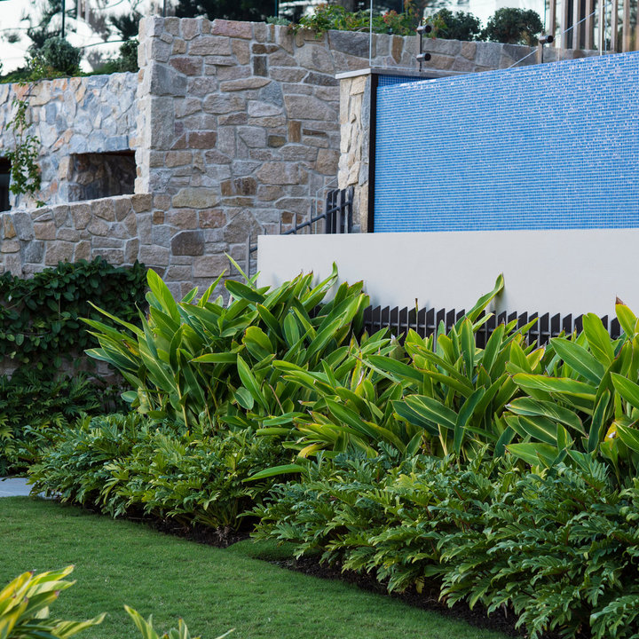 75 Beautiful Tropical Garden Ideas & Designs - September 2022 | Houzz AU