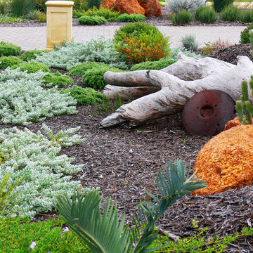 Australian Native Garden - Photos & Ideas | Houzz