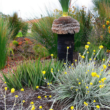 75 Beautiful Australian Native Garden Home Design Ideas & Designs ...