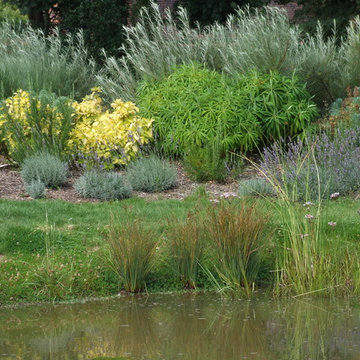 Wetland Garden - Photos & Ideas | Houzz