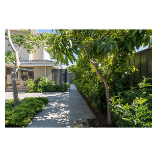 Willeton - Tropical - Landscape - Perth - by Tim Davies Landscaping ...
