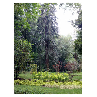 Restauro del Parco Chigi di Ariccia - Traditional - Landscape - Rome ...