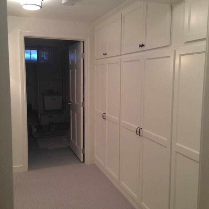 Basement Storage Cabinets - Photos & Ideas | Houzz