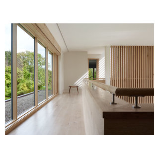 Bridgehampton - Contemporary - Hall - New York - by James Merrell ...
