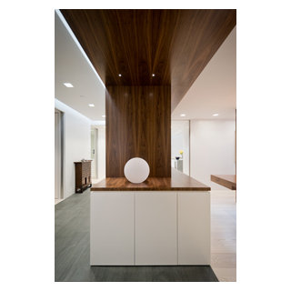 Entry Threshold - Modern - Hall - New York - by Resolution: 4 ...