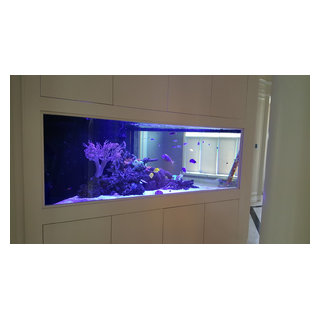 Triangle Reef Tank - Traditional - Hall - New York - by Aqua Creations ...
