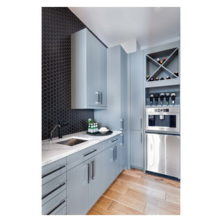 Pebble Trail Way Project - Contemporary - Home Bar - Ottawa - by Studio ...