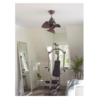 Fanimation Ceiling Fans 3 - Transitional - Home Gym - San Diego - by ...