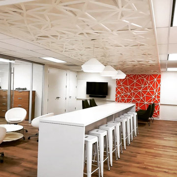 Suspended Ceiling Panel - Photos & Ideas | Houzz