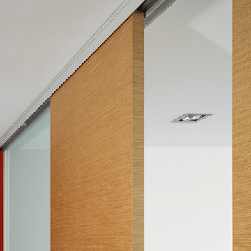Raumplus Doors - Photos & Ideas | Houzz