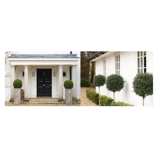 Formal Entrance and Planting - Traditional - Exterior - Hampshire - by ...