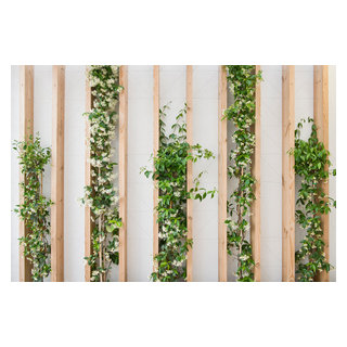 Rocha Apartment, Barcelona - Scandinavian - Landscape - Barcelona - by ...