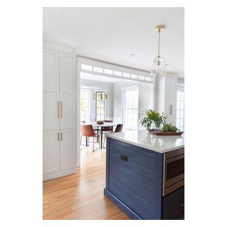 A Bold and Beautiful Blue Kitchen in Glen Ellyn - Transitional ...