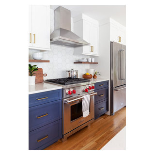 A Bold and Beautiful Blue Kitchen in Glen Ellyn - Transitional ...