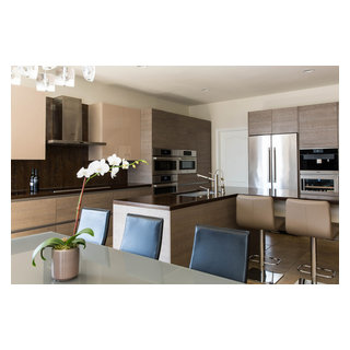 A Chef-Worthy Remodel - Modern - Kitchen - Houston - by Cantoni Houston ...