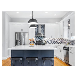 A Sleek, Modern Chicago Kitchen - Transitional - Kitchen - Chicago - by ...