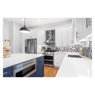 A Sleek, Modern Chicago Kitchen - Contemporary - Kitchen - Chicago - by ...