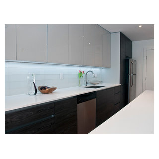 Acacia Cabinetworks Kitchen - Modern - Kitchen - Denver - by Premier ...