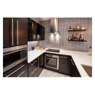 Adams Morgan Small Kitchen - Contemporary - Kitchen - DC Metro - by ...