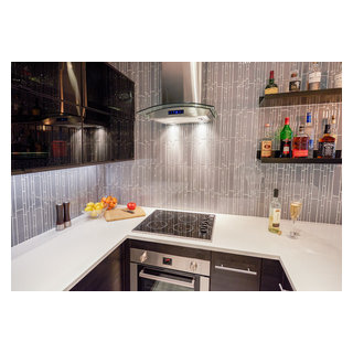 Adams Morgan Small Kitchen - Contemporary - Kitchen - DC Metro - by ...
