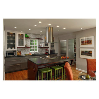 An Artist's Kitchen - Contemporary - Kitchen - DC Metro - by Design ...
