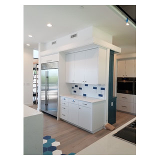 Andes - Modern - Kitchen - Austin - by Eur-Cabinets | Houzz
