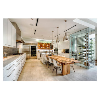 Barbara Lane Residence - Modern - Kitchen - Houston - by Hollenbeck ...