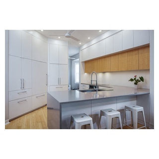 Birds Eye Mable Kitchen Renovation - Contemporary - Kitchen - Miami ...