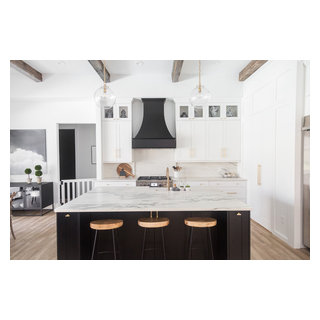 Brandon Kitchen - Transitional - Kitchen - Tampa - by Elements Design ...