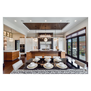 Burr Ridge Modern - Modern - Kitchen - Chicago - by Derrick ...