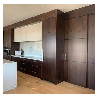 Butlers Kitchen induction stove - Modern - Kitchen - Toronto - by K. N ...