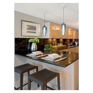Canyon Ranch - Contemporary - Kitchen - Miami - by Cuba-Fernandez ...