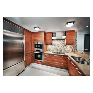 Canyon Ranch Miami Beach - Carillon Penthouses - Modern - Kitchen ...