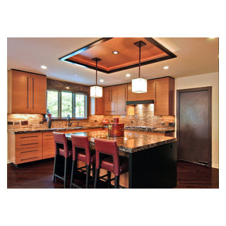 Chicago, Il 2 - Contemporary - Kitchen - Chicago - by DDK Kitchen ...