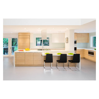 Coconut Grove, Modern - Modern - Kitchen - Miami - by Causa Design ...